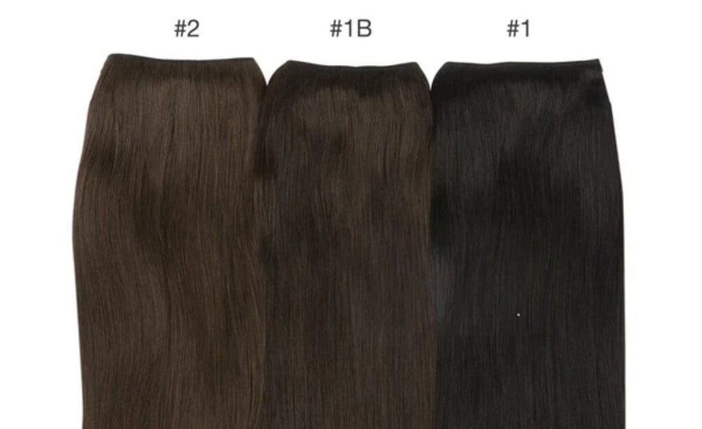 Hair Color deference between #1, #1b, #2 - A Comprehensive Guide ...